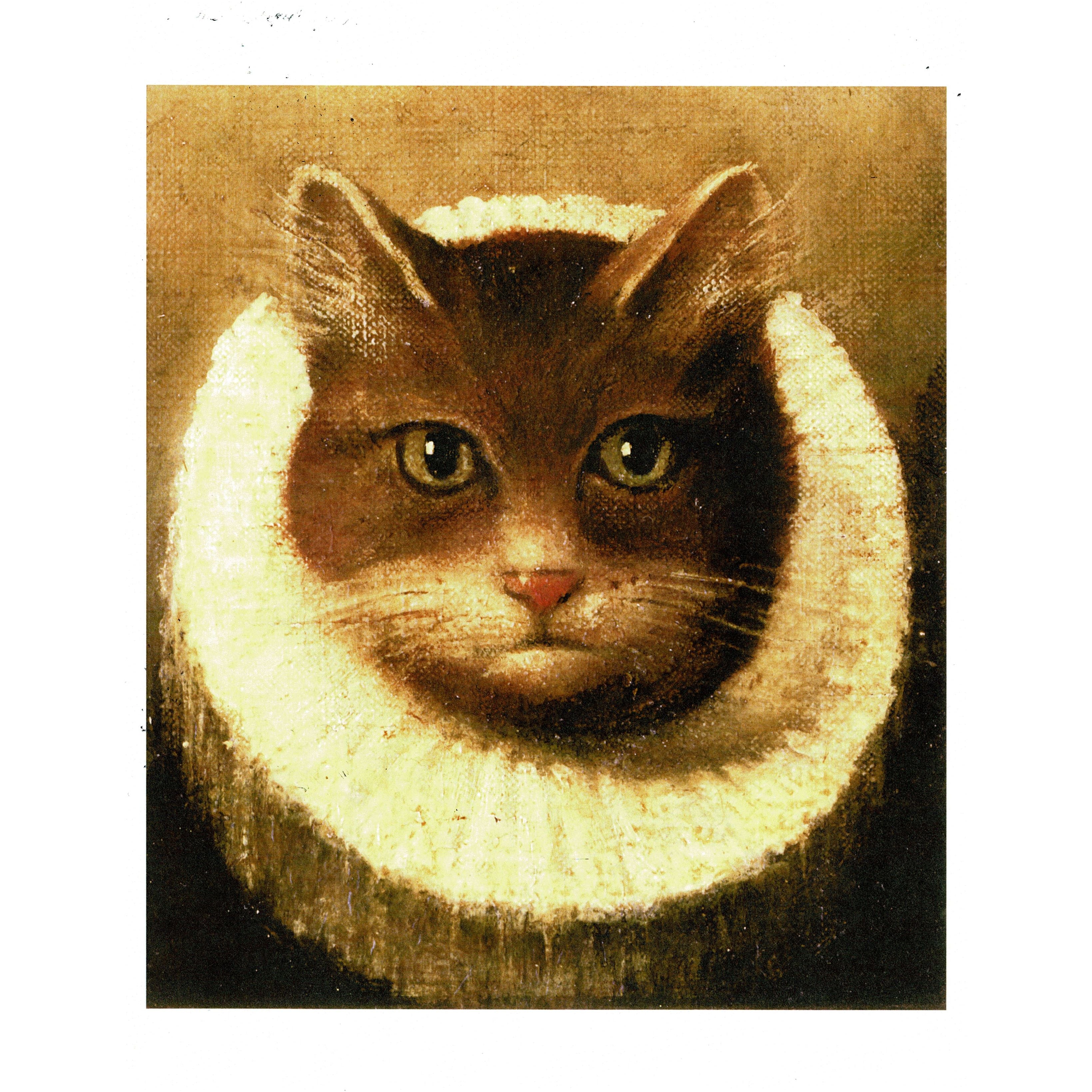 "Cat in a Ruff" Print – The Mark Twain Store